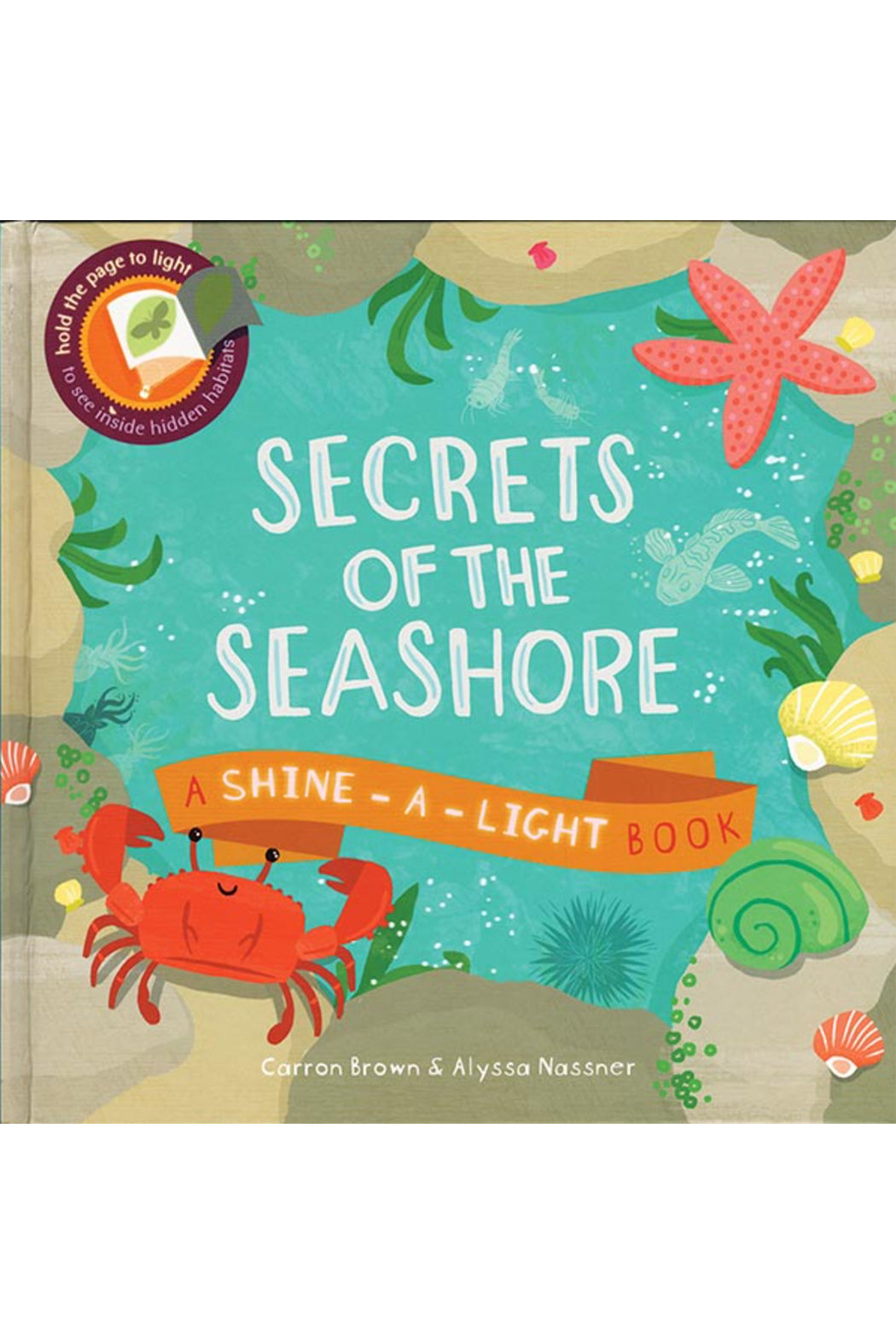 Usborne Secrets Of The Sea Shore: A Shine A Light Book – Hopscotch Kids