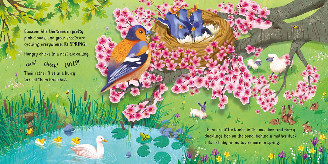 Pop-Up Seasons: Usborne – Hopscotch Kids