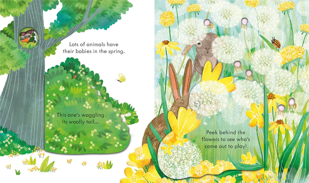 Peek Inside Springtime : Usborne – Hopscotch Kids