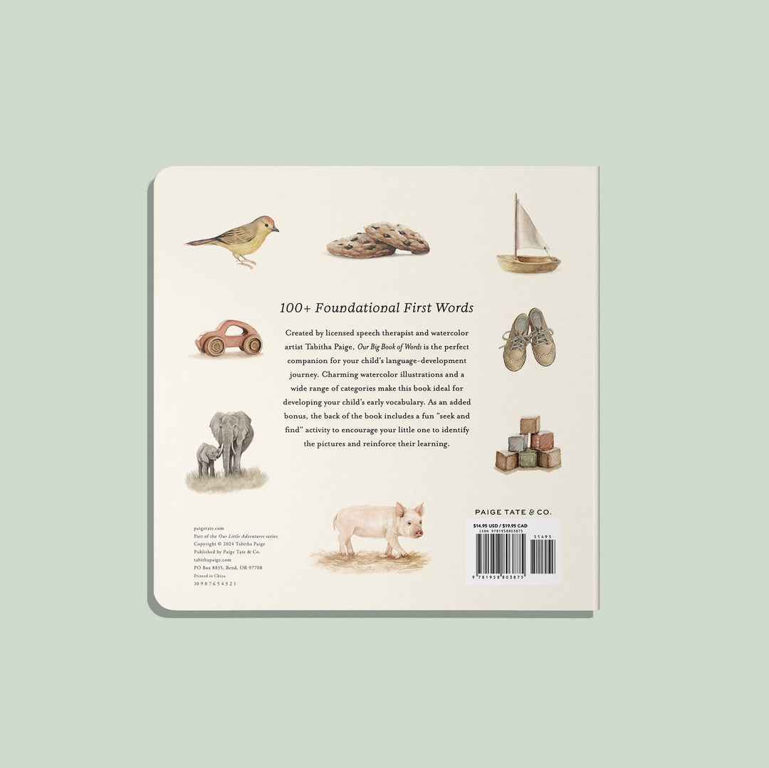 Our Big Book of First Words (Baby Board Book) – Hopscotch Kids