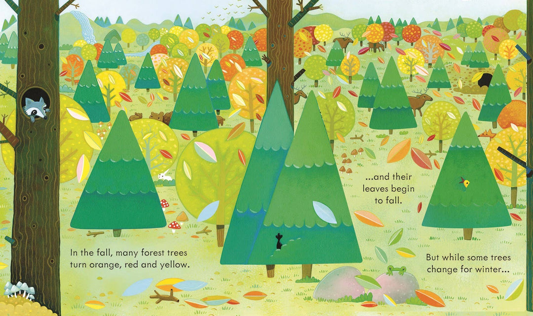 Peek Inside The Forest: Usborne – Hopscotch Kids