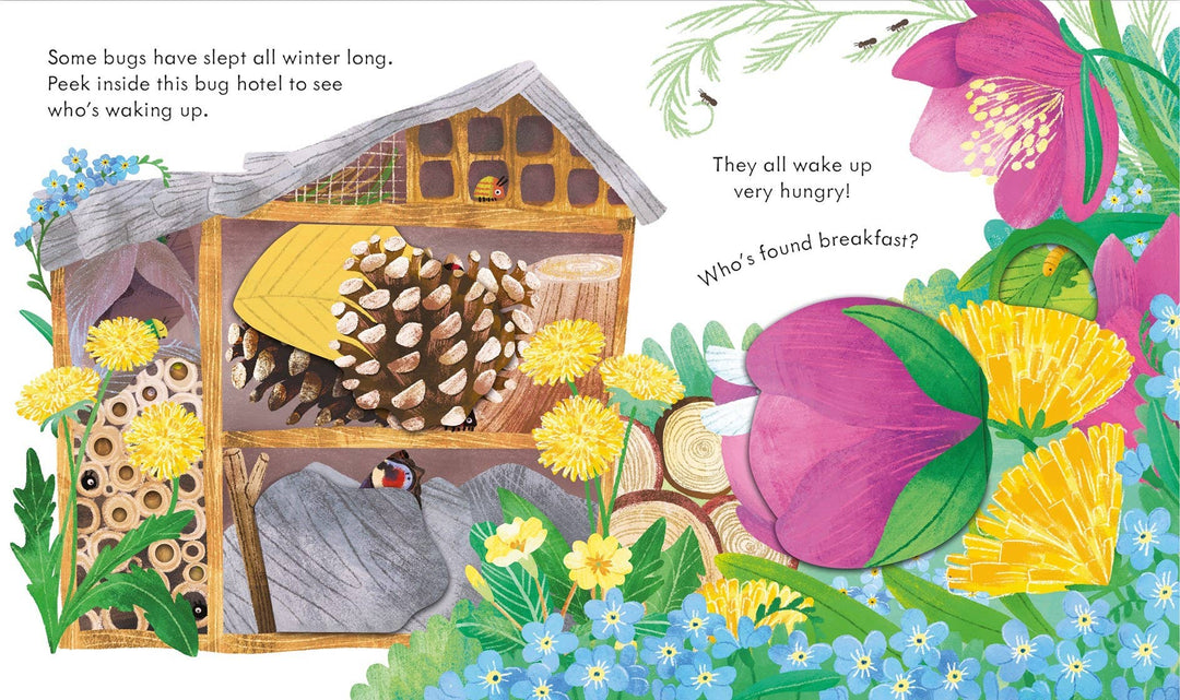 Peek Inside Springtime : Usborne – Hopscotch Kids